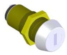 Single Pole Key Switch with 2 keys for Apollo 1500/1600/1550ETL/1650ETL ...